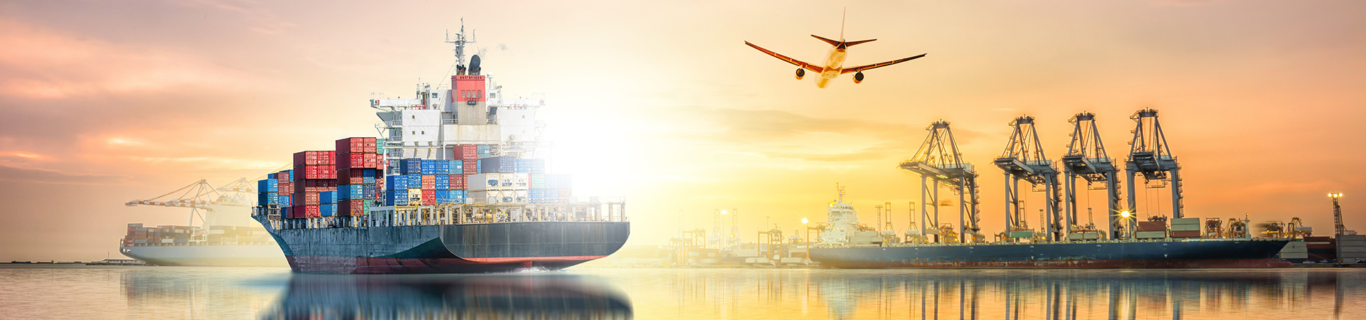 Logenios logistics software ⋆ Intelligent logistics network
